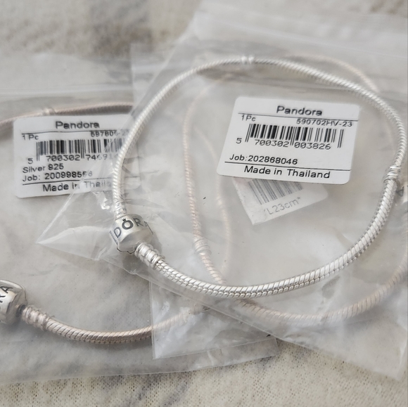 Pandora | Jewelry | Nwt Pandora Moments Bracelets I Have 3 All In Size ...